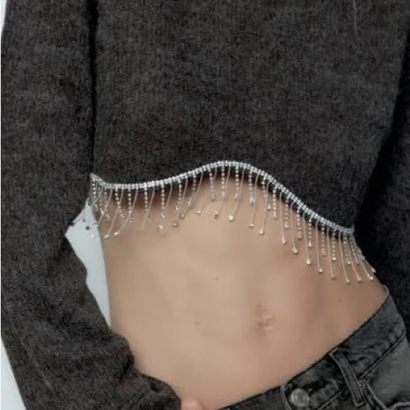 Zara | Tops | Zara Jewel Cropped Top | Poshmark